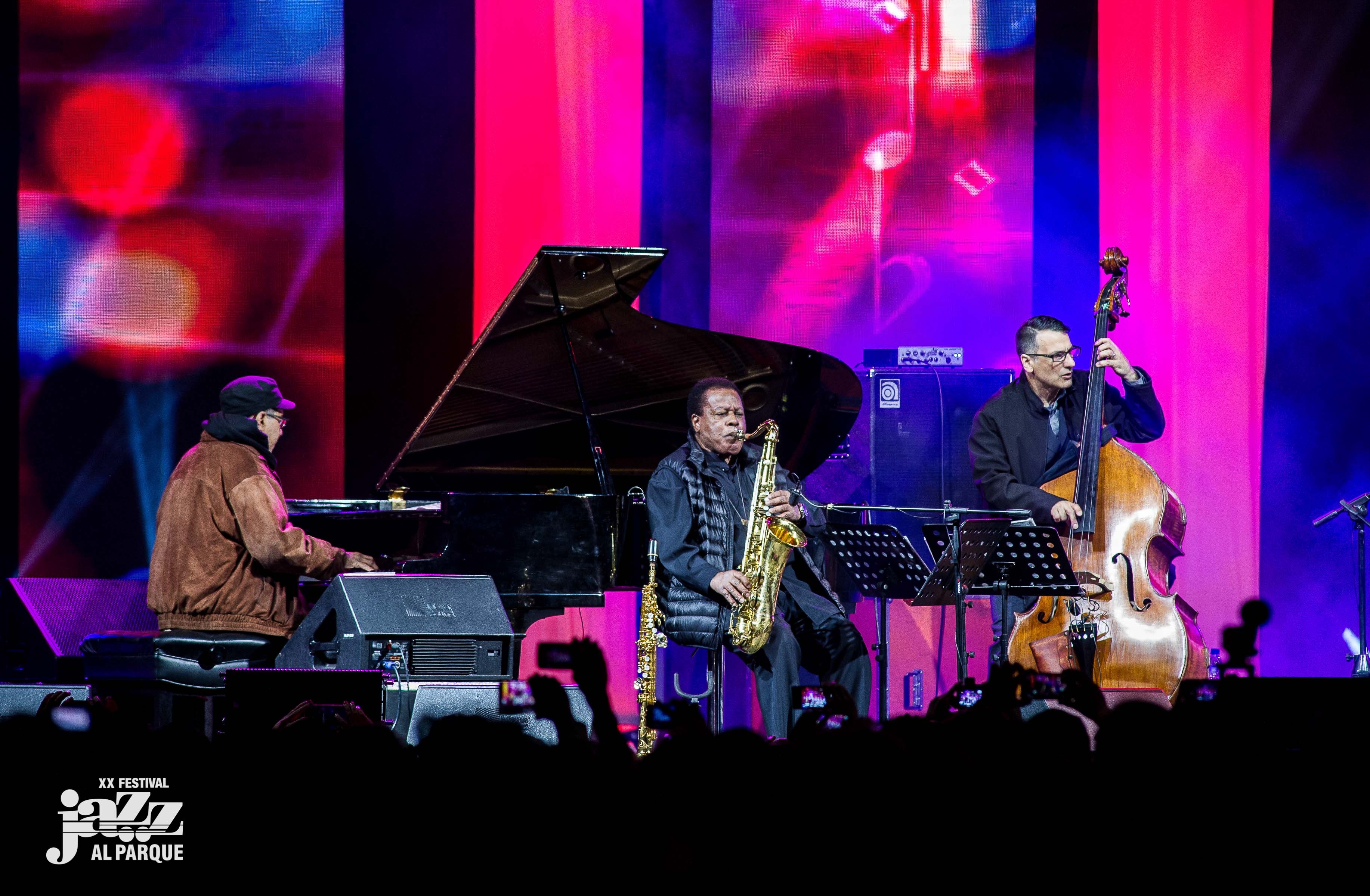 Jazz al Parque 2015 | Festival Jazz al Parque